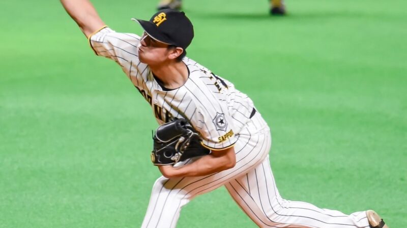 『FIT BODY LAB夏休み特別企画のお知らせ！』 | ベースボール北海道ストライク